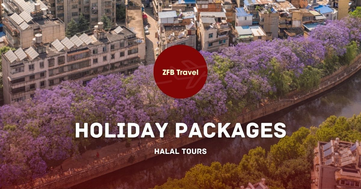 Our Holiday Packages | ZFB Travel